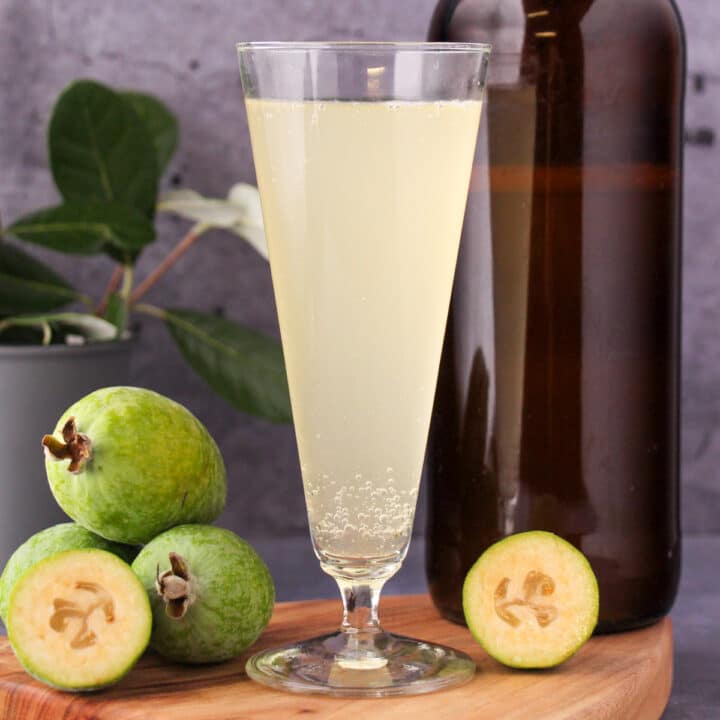 Feijoa fizz - The Aussie home cook