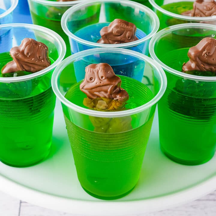 Frog In The Pond - The Aussie home cook